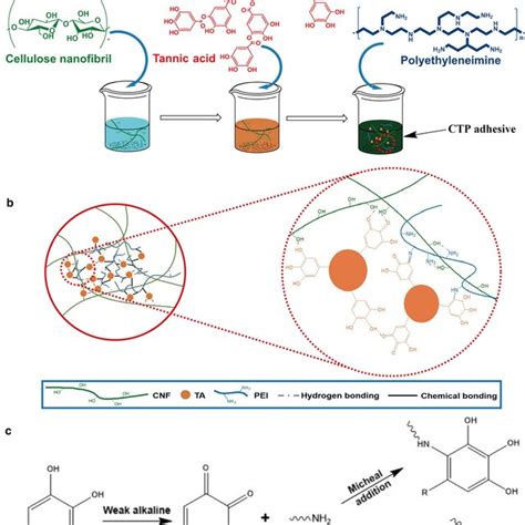 Schiff Base And Michael Addition Reactions Of Aminated And Thiolated Download Scientific