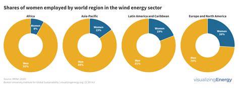What Is The Status Of Women In The Global Wind Energy Industry Visualizing Energy