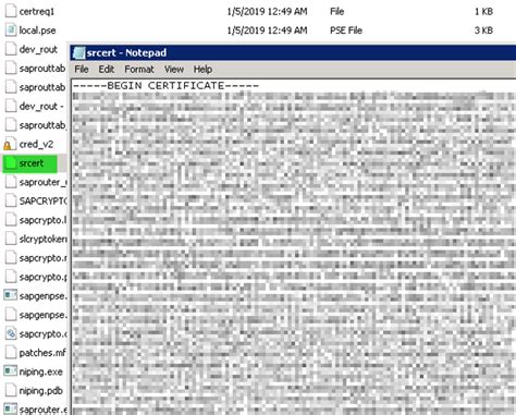 Renewal Of Saprouter Certificate Sap Community