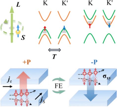 Sliding Ferroelectricity Engineered Coupling Between Spin Hall Effect And Layertronics In 2d