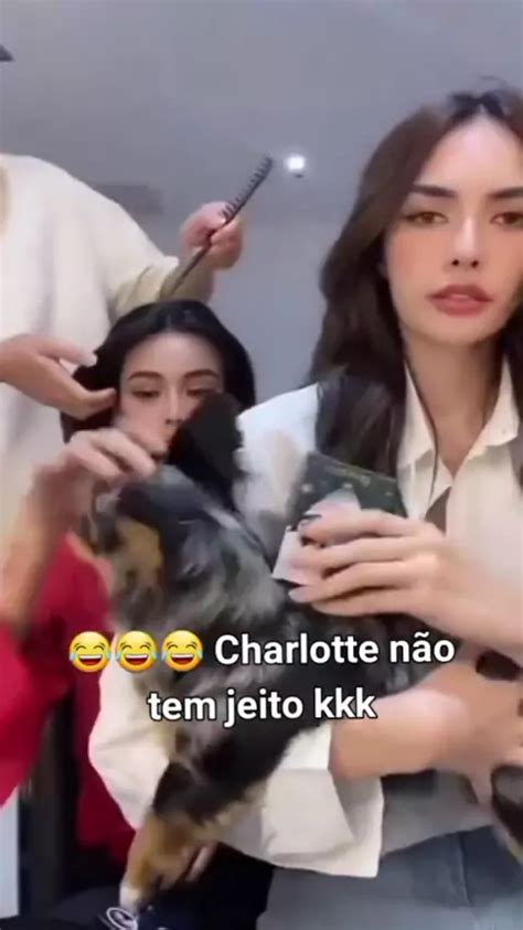 Gilf Dixie Dauphin Discover