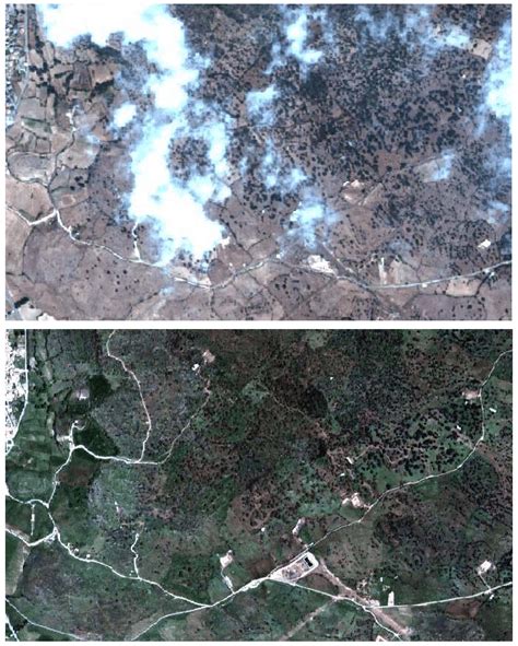 Two Multispectral High Spatial Resolution 28 M × 28 M Per Pixel Download Scientific Diagram