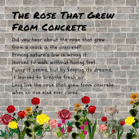 The Rose That Grew From Concrete Latasha Harlins A Rose That Grew