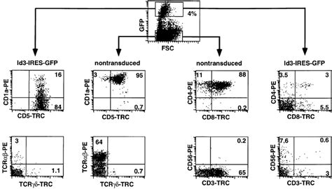 Three Color Flow Cytometric Analysis Of Cells Recovered From An Ftoc Download Scientific