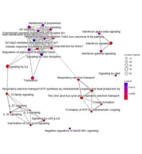 Easy R Tutorial Pathway Enrichment Analysis Plots