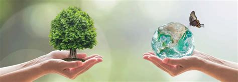 University College Dublin Msc Environmental Resource Management