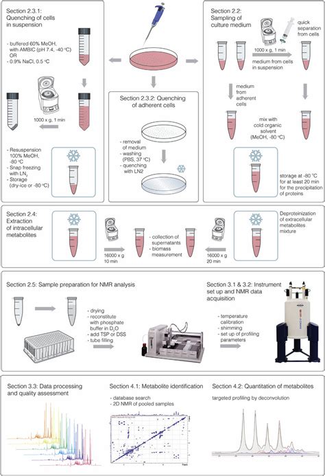 Schematic Workflow Diagram For The Presented Nmr Based Targeted Download Scientific Diagram