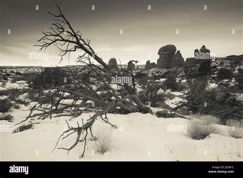 Usa Utah Moab Arches National Park The Windows Dawn Winter Stock