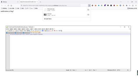 Ctfshow Web1 20 Csdn博客