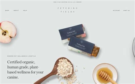 Fetching Fields Web Design Inspiration Creative Pet Wellness Beautiful Websites