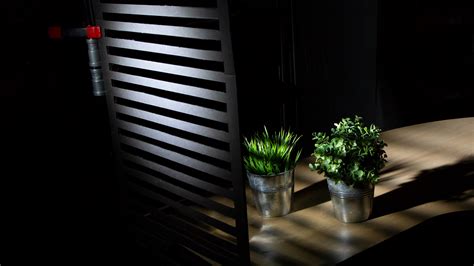 What Is A Cucoloris And How Is It Used On Professional Film Sets