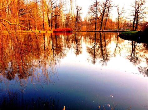 Premium Photo Reflection Of Bare Trees On Lake During Autumn Premium Photo Reflection Of Bare Trees On Lake During Autumn