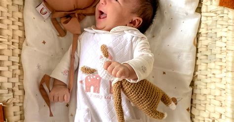 가족들 갈색 머리 귀여운 귀여운 복장 나무 바구니 누워 있는 달콤한 담요 돌보다 미소 짓는 바구니 보육 장식