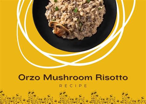 Delicious And Nutritious Orzo Mushroom Risotto Recipe