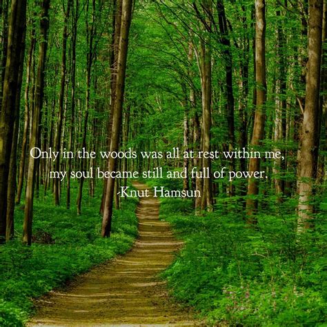 Forest Walk Quotes