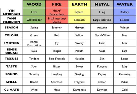 Balancing Energy With The Five Elements The Power Of Acupressure For Holistic Wellness