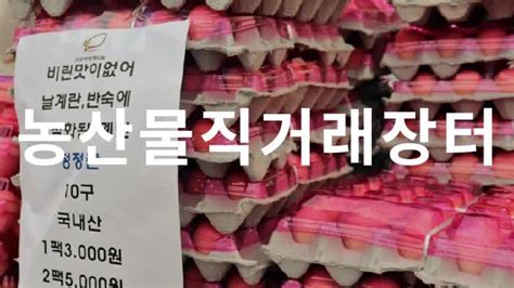 농산물직거래장터 생소한장터에서 놀자 네이버 Tv