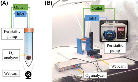 Closed Loop Respirometer Setup A Schematic Of The Setup B Image