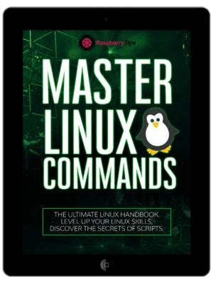 How To Use ‘screen The Complete Linux Command Guide Raspberrytips