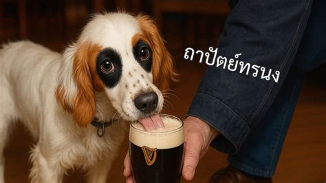 สาขาเทคโนโลยีสถาปัตยกรรม มหาวิทยาลัยราชภัฏเชียงใหม่ ขอแสดงความยินดีกับ นาย พงศกร เชียงตา นศ