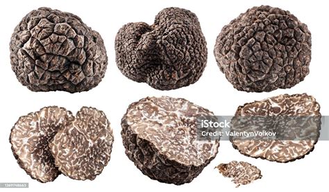 흰색 배경에 검은 겨울 송로 버섯과 트러플 슬라이스세트 파일에클리핑 경로가 포함되어 있습니다 0명에 대한 스톡 사진 및 기타
