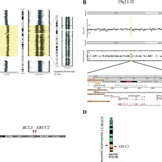 Single Nucleotide Polymorphism SNP Array Analysis A Confirmation Of Download Scientific