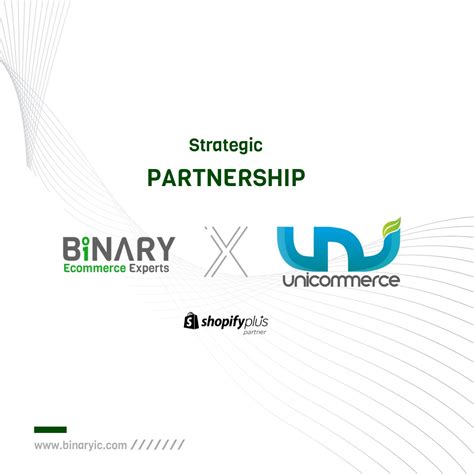 binary shopify plus agency on linkedin binary binaryic