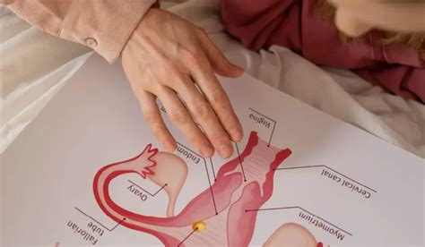 Hormonal Contraceptives Types Benefits And Risks