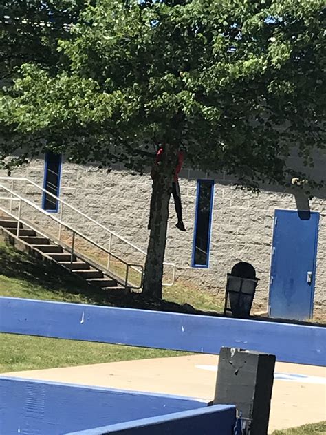 Cursedschoollunch Rcursedimages