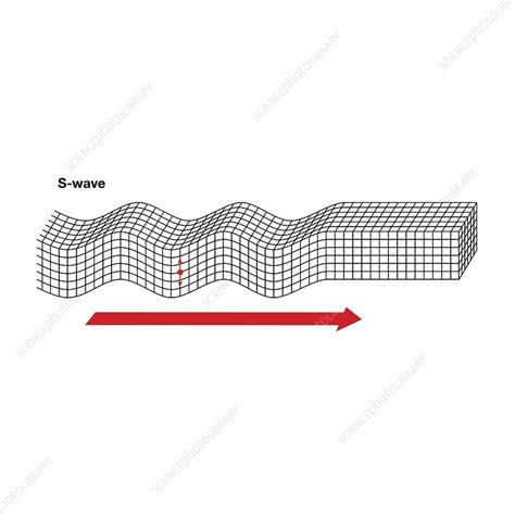 Seismic S Wave Propagation Illustration Stock Image C050 7623 Science Photo Library