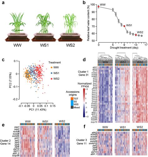 Drought Treatment Transcriptome Analysis And Aba Related Gene