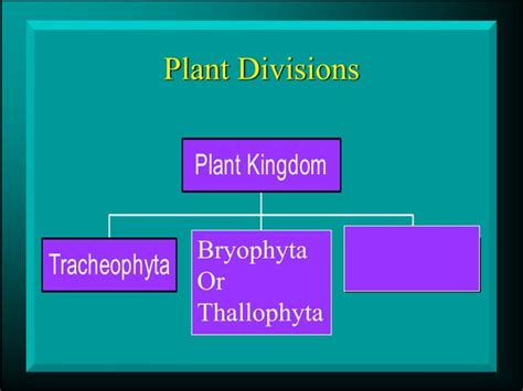 Plant Classificationpdf Gardening Home And Garden Plant Classificationpdf Gardening Home And Garden
