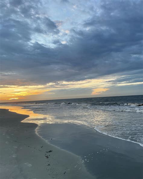 Candace Watson Dantzler