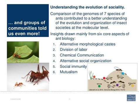 Web Apollo Lessons Learned From Community Based Biocuration Efforts