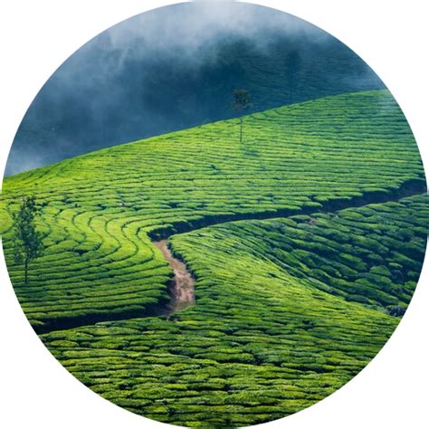 Kerala Drives Travel And Tour Booking