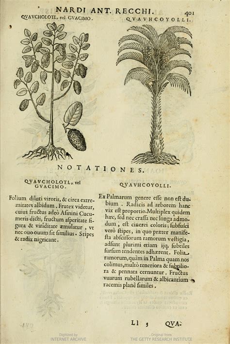 Naming And Classifying — Dumbarton Oaks