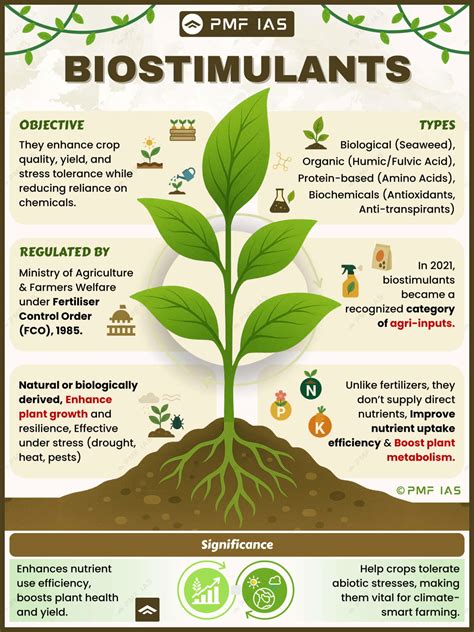 Nano Enterprises Features Challenges And Formalization Pmf Ias