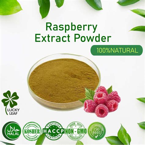 100g 200g Raspberry Extract Powder Antioxidant Vitamin Halal And Kosher Certified Shopee Philippines