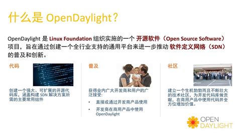 opendaylight 及开源软件网络的兴起 ppt download