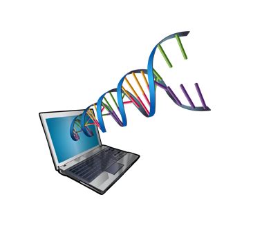 What Is Bioinformatics Towards Data Science