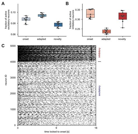 Figures And Data In The Generation Of Cortical Novelty Responses