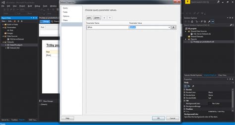 SSRS Tutorial Part Configuring Parameter Filter in SSRS Reporting Services Jan Zedníček