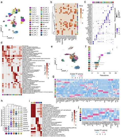 Immune Cell Heterogeneity Across Tissues In Pigs 1380 A Umap