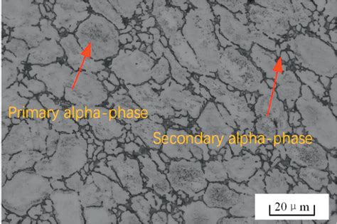 Microstructure Of Ti 6al 4v Titanium Alloy Download Scientific Diagram