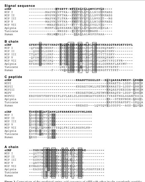 Figure 1 From Cdna Structure Of An Insulin Related Peptide In The Pacific Oyster And Seasonal