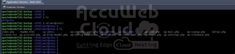 How To Manually Back Up And Restore Apps On AccuWeb Cloud