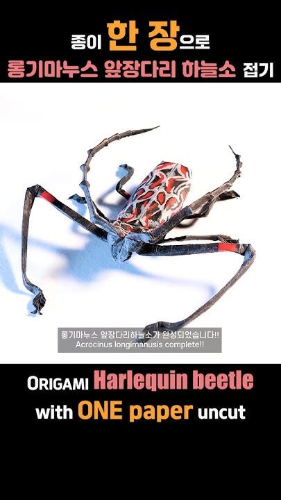 세상에서 가장 다리 긴 딱정벌레 종이접기 Youtube
