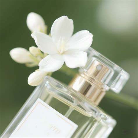 Jasmine Perfume Fragrance Elegant Synthetic Jasmine For Fine Fragrances