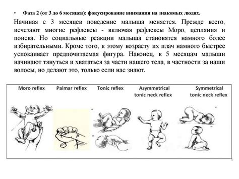 Социальная ситуация развития в младенческом возрасте презентация онлайн