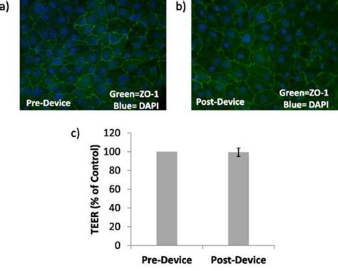 A Modular Microfluidic Bioreactor With Improved Throughput For